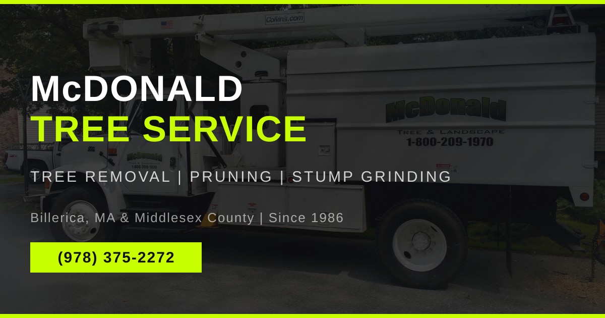 Crane Tree Removal Cost (2026) | McDonald Tree Service